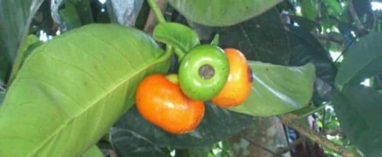 4 Cara Buat Sambal Belacan Sedap Terpaling Power - MyzanJourney